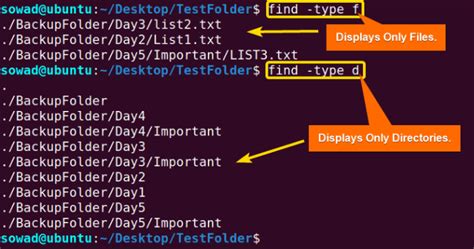 The Find Command In Linux 10 Practical Examples