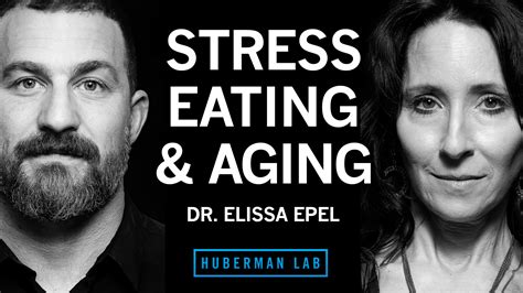 How To Regulate Your Nervous System Huberman Lab
