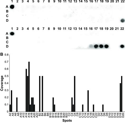 Epitope Mapping By Peptide Array Based Immunological Screening Notes