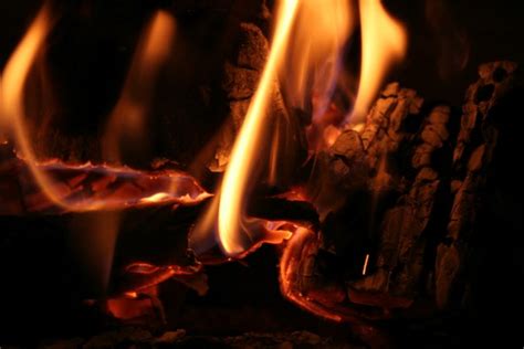 12 En La Categoría «char Sex De Fotos E Imágenes De Stock Libres De Regalías Shutterstock