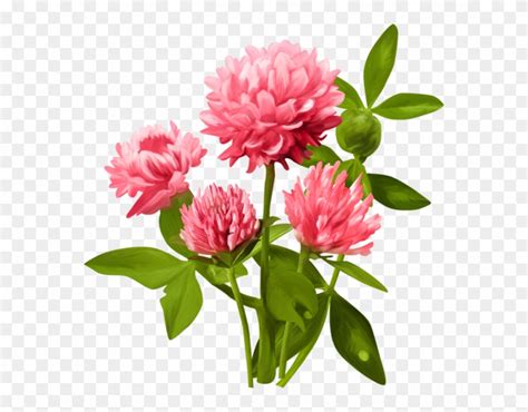 Clipart Hintergründe Mesas Blume Zolynelis Specialusis Lopselis