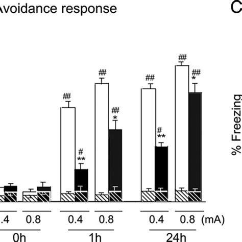 Performance In The Passive Avoidance Test And Fear Conditioning Are Download Scientific Diagram