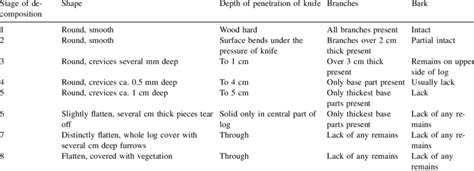Decomposition Scale Of Cwd Slightly Modified After Holeksa 1998