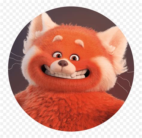 Theyu0027re Like Teenagers Why Red Pandas Became The Stars Of Turning