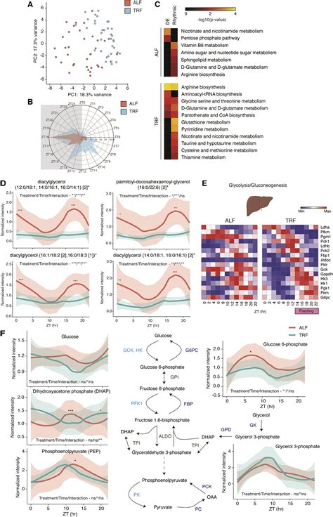 Diurnal Transcriptome Landscape Of A Multi Tissue Response To Time