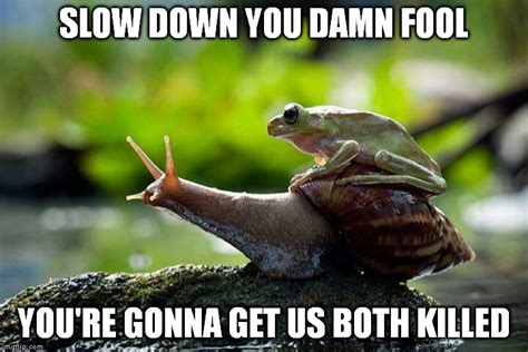 Meme Slow Down