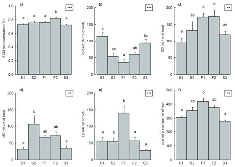 Differences In Ectomycorrhizal Ecm Root Colonization A The Four Download Scientific
