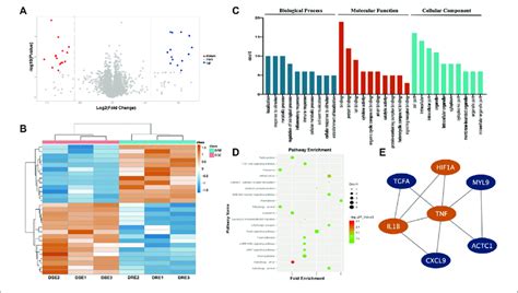 Quantitative Proteomics Analysis Of The Hippocampus In Mice A