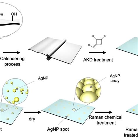 Schematic Illustration Of In Situ Fabrication Of Paper Based Sers