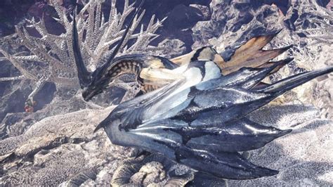 Monster Hunter Now Legiana Weekend Event Release Date Requirements