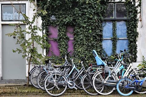 © G E R A R D L O E V E / S T O N E A G E I M A G E S | Flickr