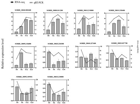 Ijms Free Full Text Co Expression Network Analysis Of The