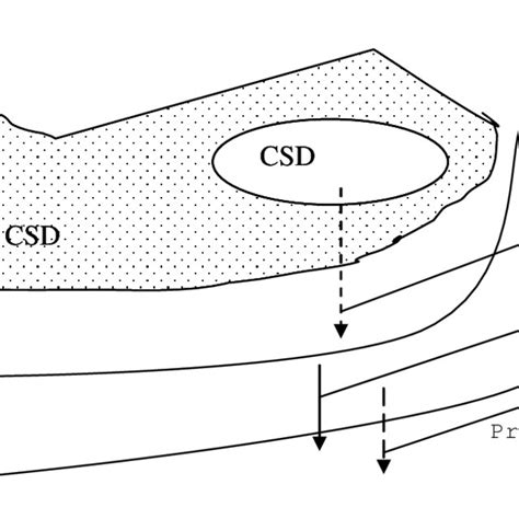 Two Dimensional Model Of Csd Contrasted To The Multi Dimensional Needs