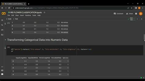 Oasis Infobyte Datascience Internship Task 1iris Flower Classification Youtube