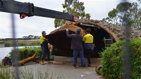 Bunyip Escapes By Peri Strathearn Murray Bridge News