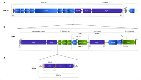 Schematic Representation Of Qepa4 Harboring Contig Assembled Using