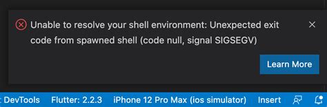 Vs Code Terminal Opens Then Crashes And Disappears After Pressing Kill