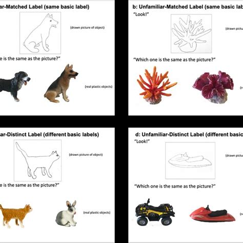 Example Of Stimuli And Trial Types Used A Familiar Matched Label B Download Scientific
