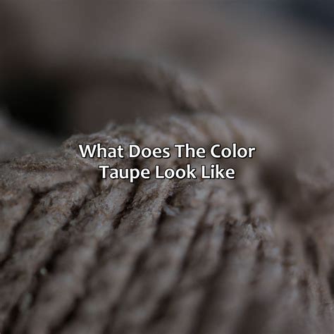 What Does The Color Taupe Look Like Colorscombo Com