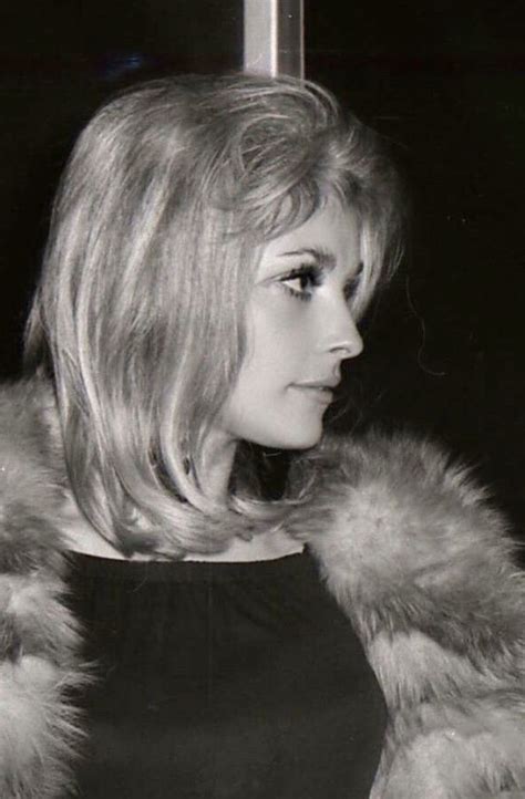 Sharon Tate Sharon Tate Iconic Looks Sharon Tate 60s Sharon Tate