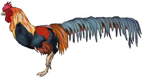 Chickenosaurus By Zemeraire On Deviantart