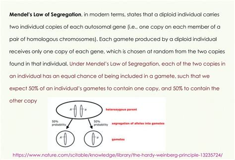 Population Genetics Basic Concepts Pdf