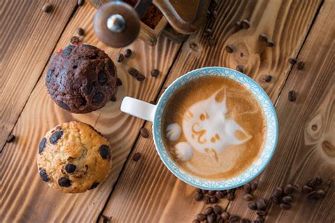 흩어져있는 커피 원두와 오래 된 나무 테이블에 건 빵 컵에 커피 라 떼 아트의 고양이 거품 얼굴 고양이 새끼에 대한 스톡 사진 및 기타 이미지 Istock