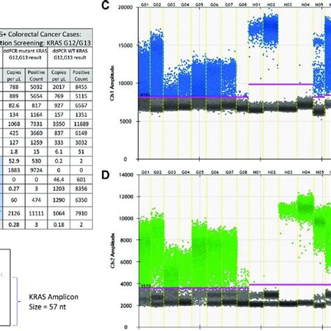 Results From Ddpcr Analysis Of Human Kras Positive Colorectal Cases