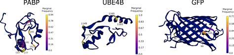 plug and play directed evolution of proteins with gradient based discrete