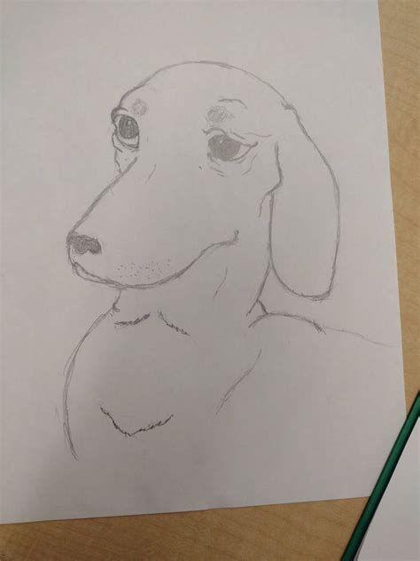 Dachshund Drawing By Discosoup83 On Deviantart