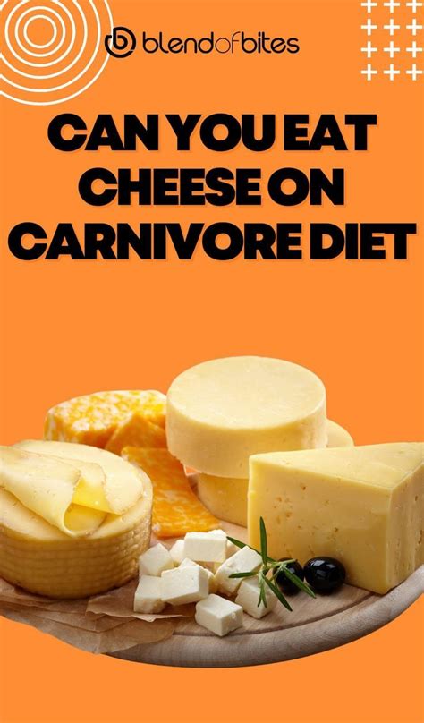 Can You Eat Cheese On Carnivore Diet The Ultimate Cheat Sheet Artofit