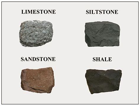 Types Of Sedimentary Rocks Shale