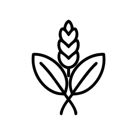 Premium Vector Oat Grain Icon Icon Outline