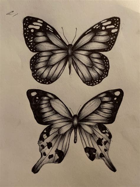 Butterfly Tattoo With Pencil Drawing Black And White Butterfly
