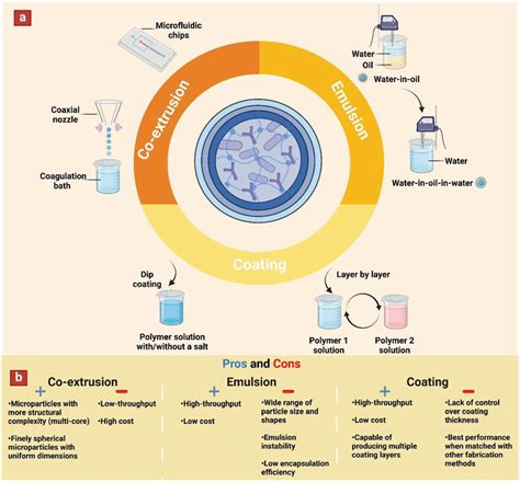 Biopolymer‐based Multilayer Microparticles For Probiotic Delivery To Colon Pmc
