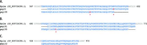 Peptides Identified In Sample B A Mapped On Sars Cov 2 Spike Download Scientific Diagram