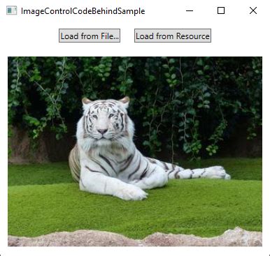 The Image Control The Complete WPF Tutorial
