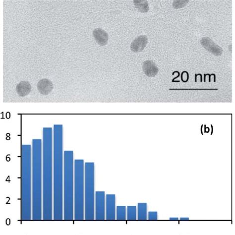 Tem Micrographs Taken From Au 15000 Nanoparticles A And Single
