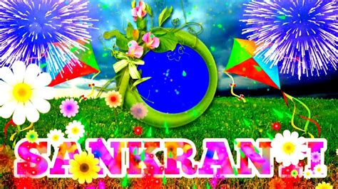 Happy Makar Sankranti Statushappy Makar Sankranti New Videomakar Sankranti Bicround Video