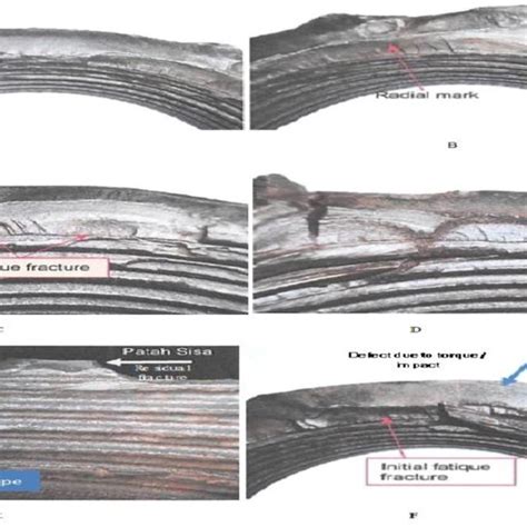 The Blade Root Dimensions 2 Download Scientific Diagram