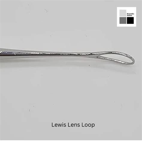 Lewis Lens Loop At ₹ 899 Wire Vectis In Lucknow Id 2850019407373