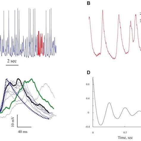 Paroxysmal Depolarizing Shift Pds Recorded In The Presence Of Download Scientific Diagram