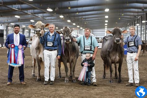 Midwest Spring Show — Wisconsin Brown Swiss Association