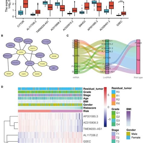 A The Distribution Of 9 Pyroptosis Related Lncrna Expression Patterns Download Scientific