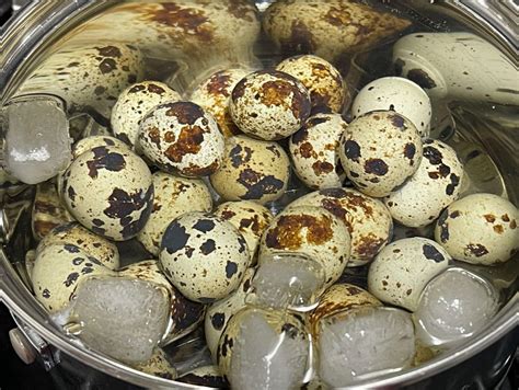 How To Cook Quail Eggs Hard Boiled Quail Eggs For Breakfast