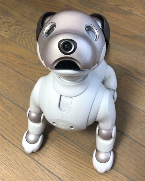 Aibo Robot Doccasion Plus Que 4 Exemplaires à 60