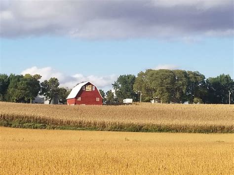 Iowa Farm Fields