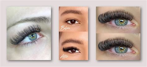 What Is Dd Curl Lashes An Ultimate Guide For Beginner