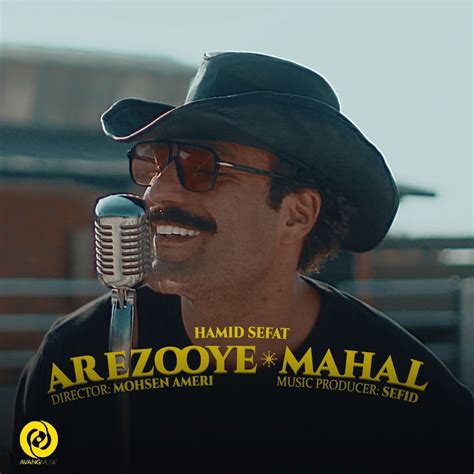 دانلود موزیک ویدیو حمید صفت تو دلی