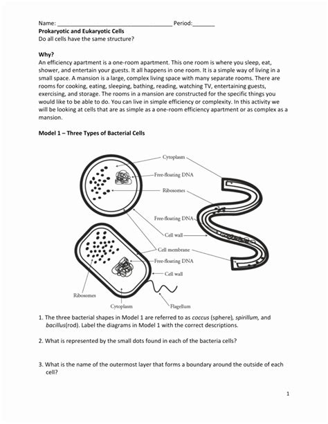 50 Prokaryotes Vs Eukaryotes Worksheet Chessmuseum Template Library